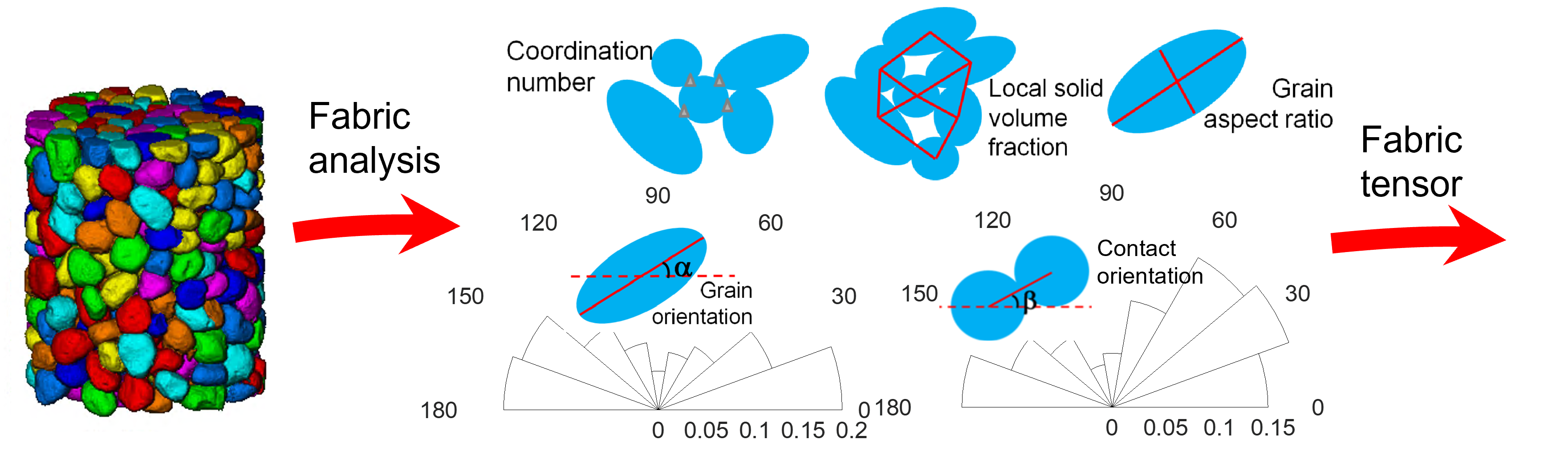 Research - Dr. Xianda Shen